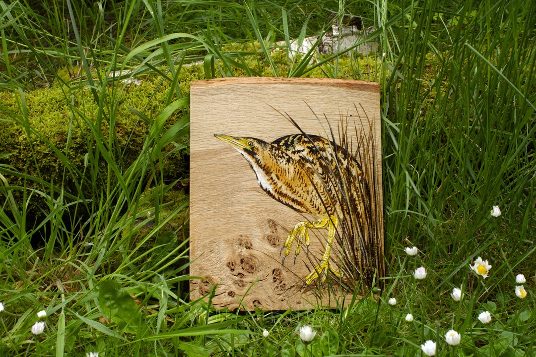 Bittern Painting on Recycled Wood, Wooden Wall Art, Bird Decor - Etsy