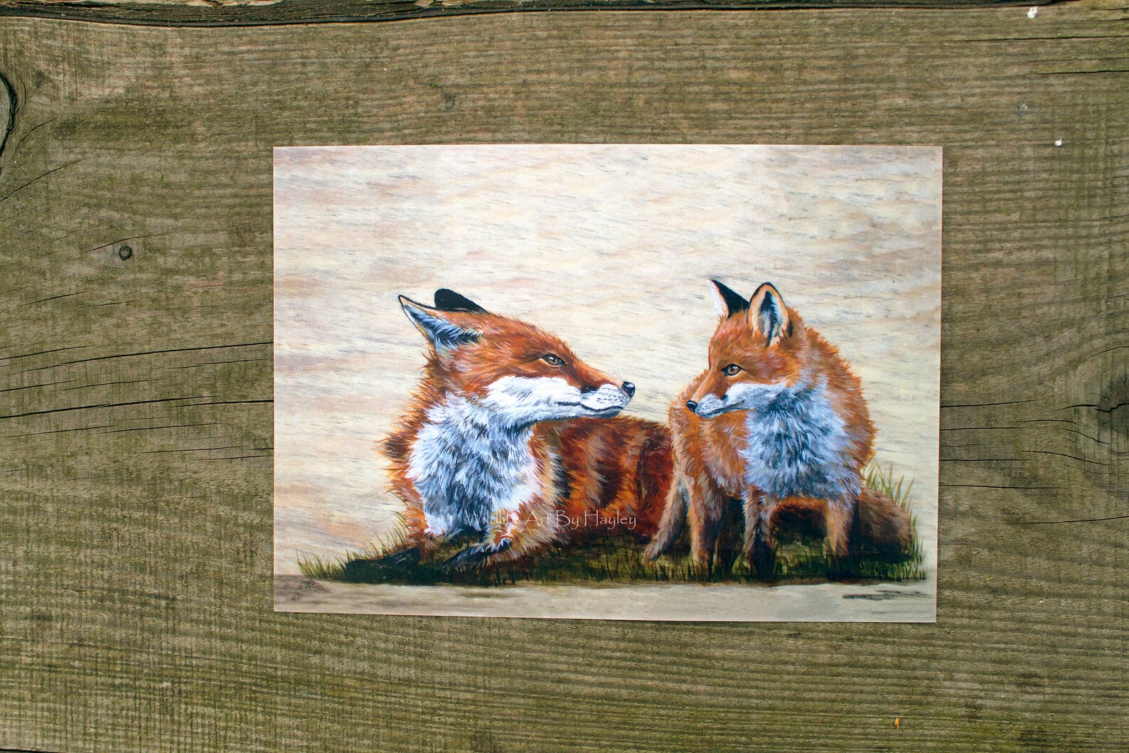 Fox Family Art Print A4 Size. - Etsy