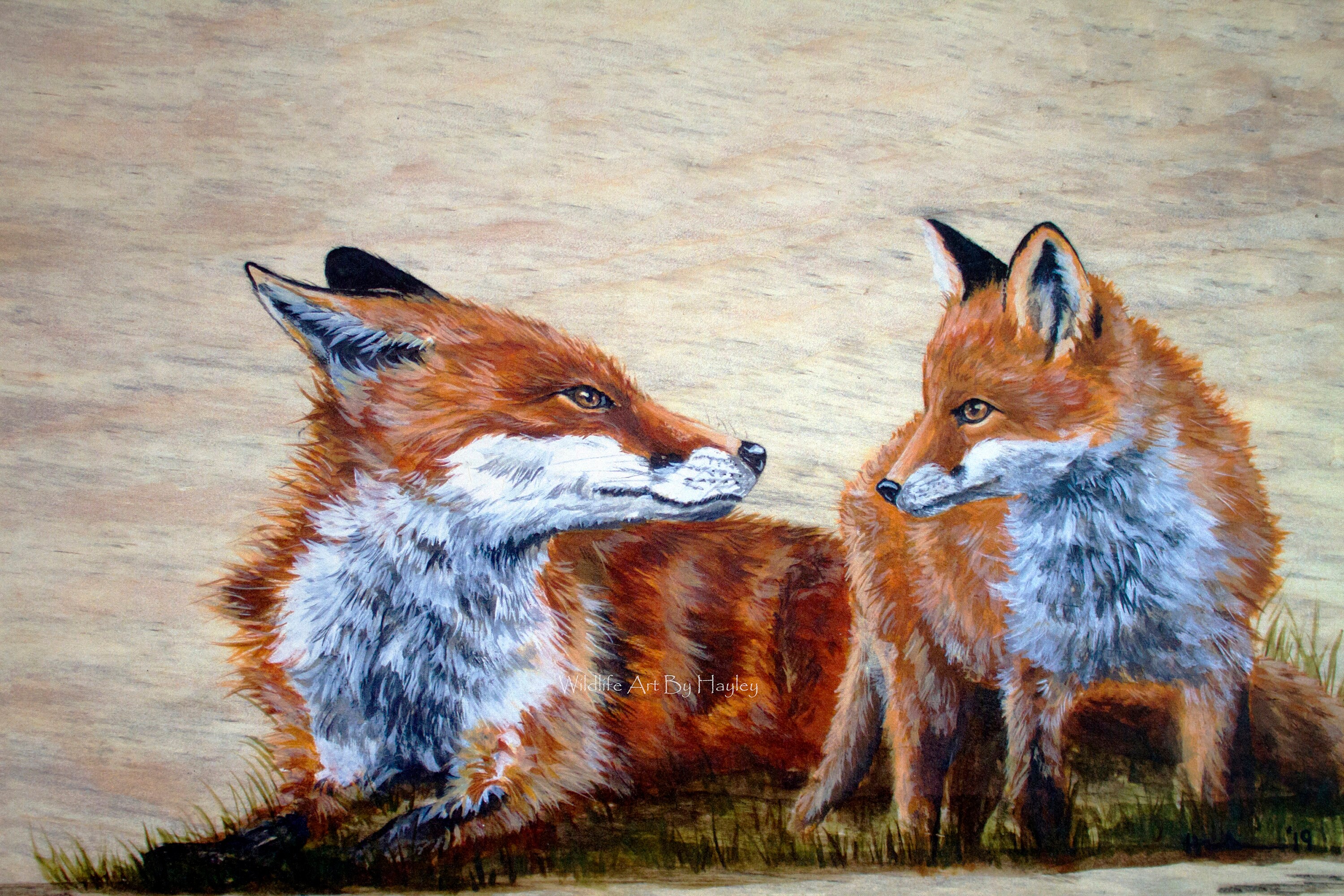 Fox Family Art Print A4 Size. - Etsy