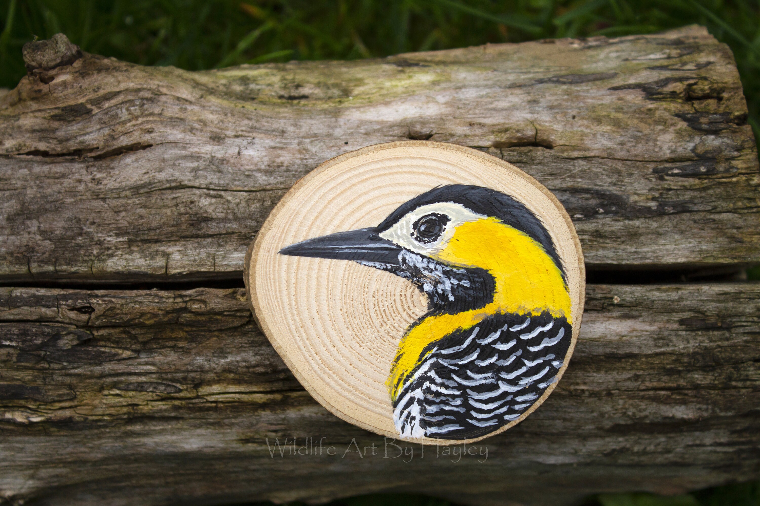 Campo Flicker Painting on a Recycled Wood Slice - Etsy UK
