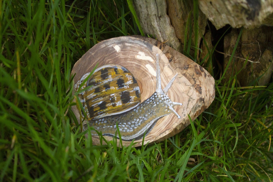 Garden Snail Painting on a Recycled Wood Slice - Etsy