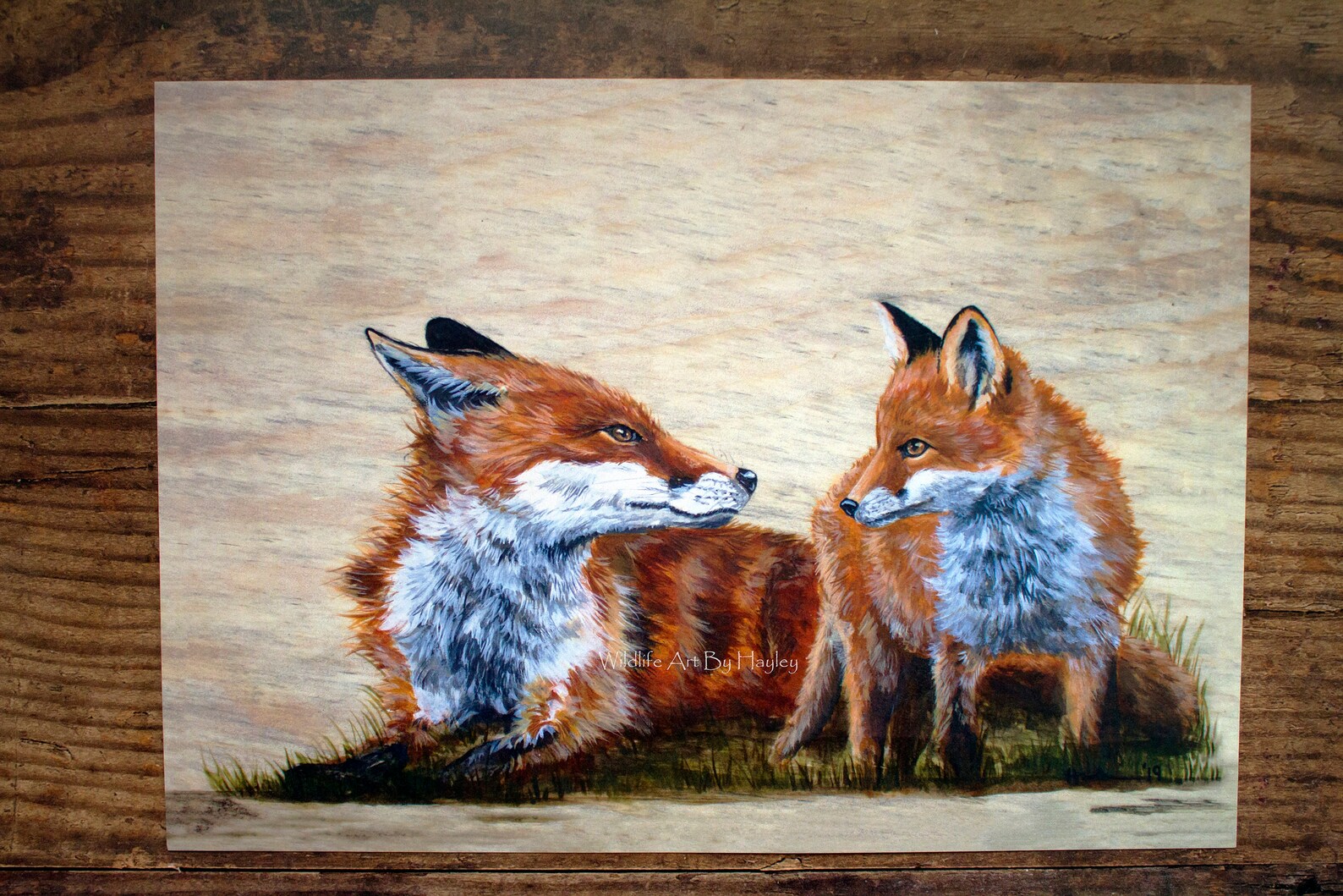 Fox Family Art Print A4 Size. - Etsy