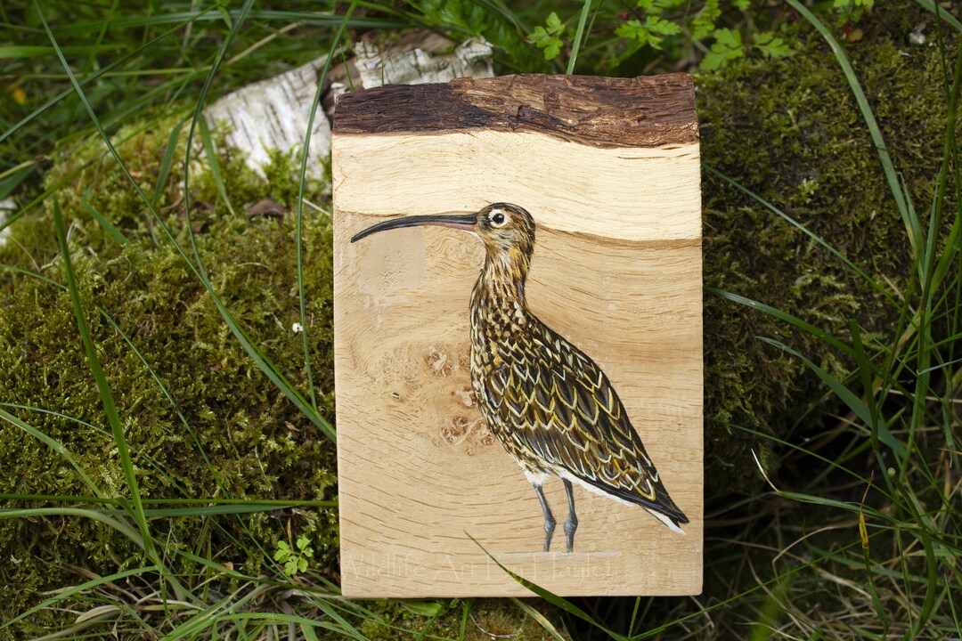 Curlew Painting on Recycled Oak Wood Offcut, British Bird Art - Etsy