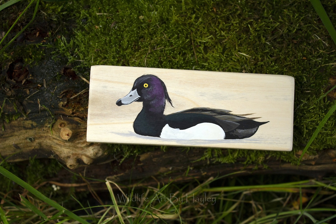 Tufted Duck Painting on Recycled Wood - Etsy