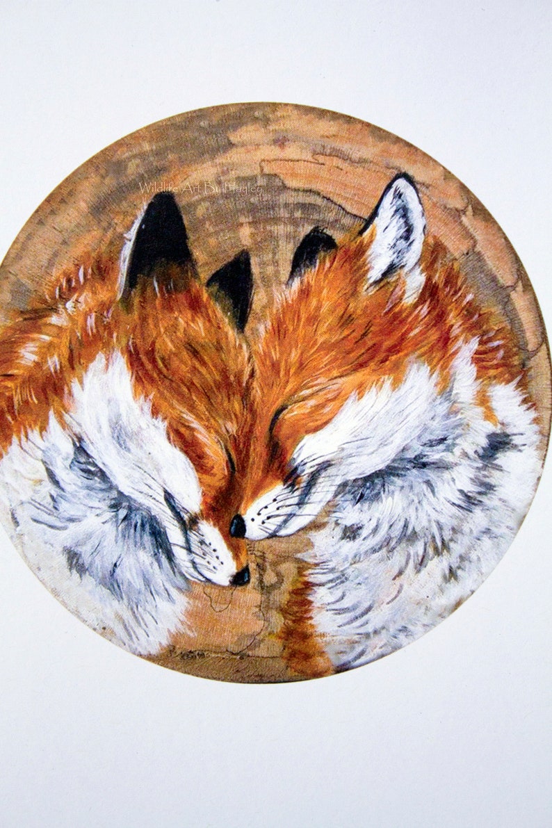 Fox Print A5 Size Woodland Animal. | Etsy