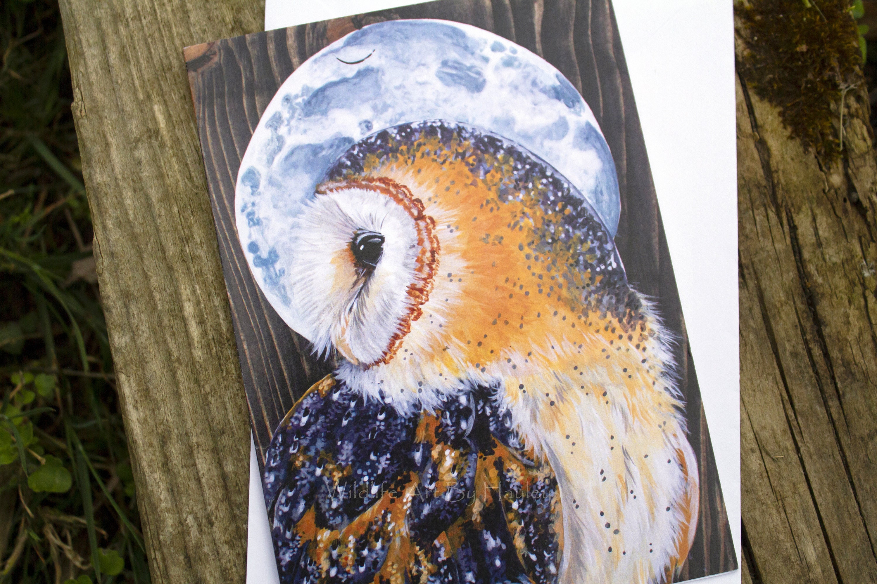 Barn Owl Greetings Card Full Moon Art Card - Etsy UK