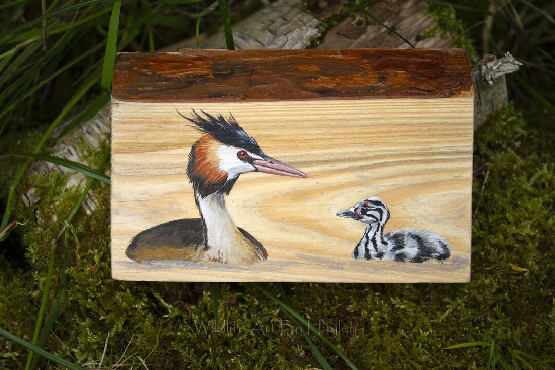 Great Crested Grebe Painting on Recycled Wood - Etsy