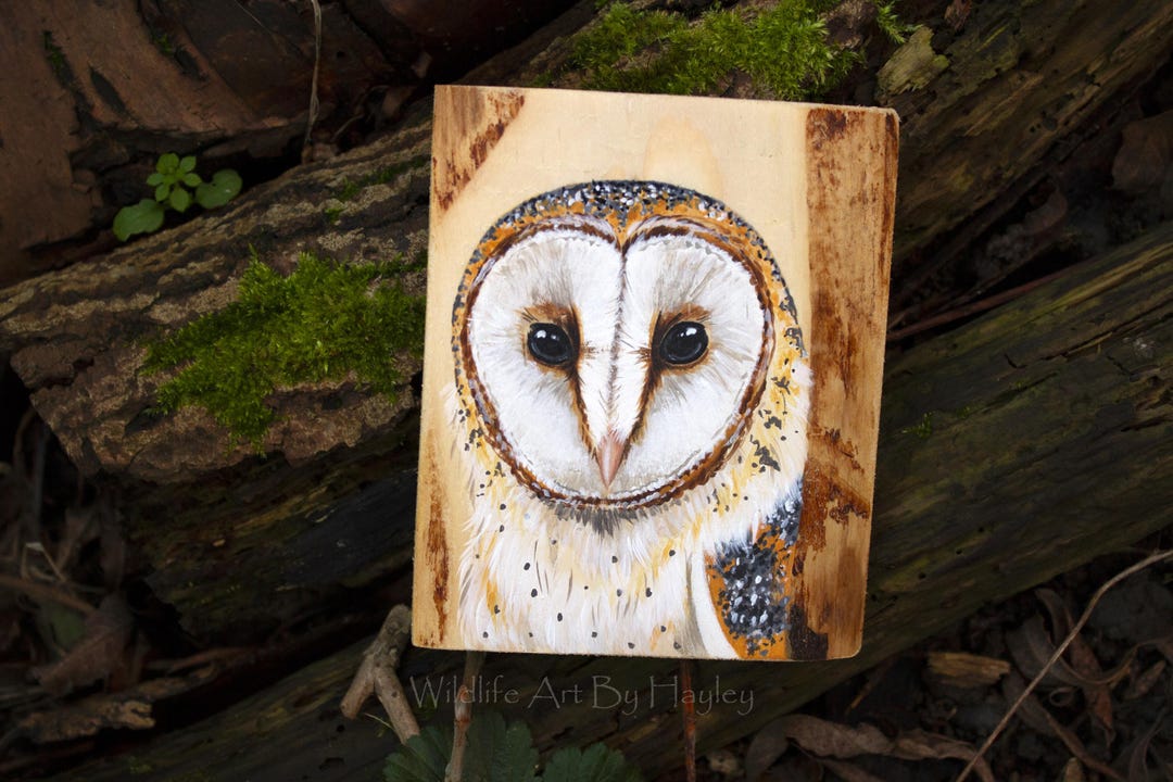 Barn Owl Painted on Recycled Pallet Wood, Original Wildlife Art, Wooden ...
