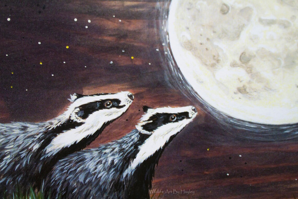 Moon Gazing Badgers, A4 Art Print. - Etsy UK