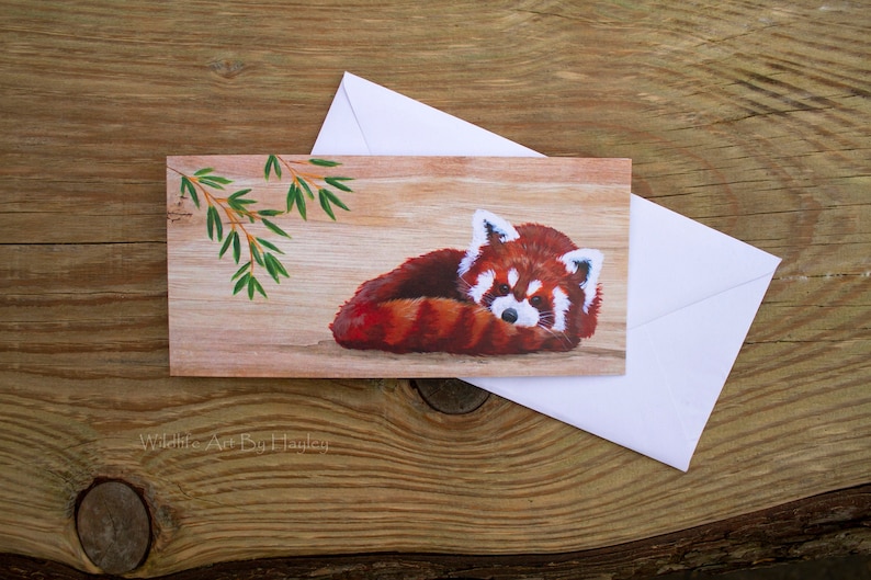 Red Panda Greetings Card Animal Art Card - Etsy UK