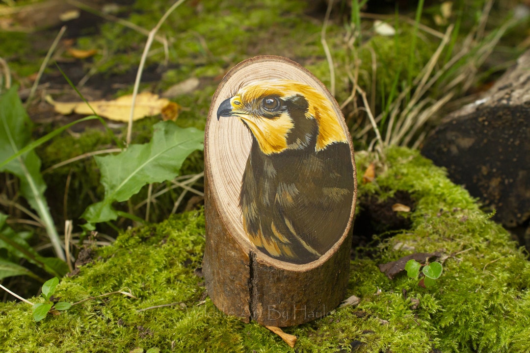 Marsh Harrier Painting on Recycled Wood Stump - Etsy