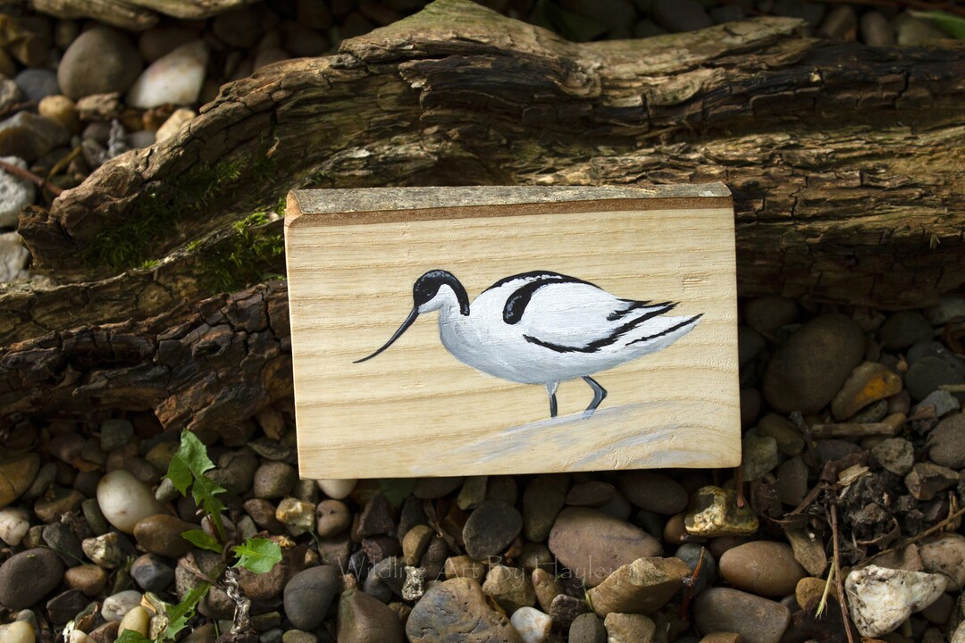 Avocet Bird Painting on Recycled Wood - Etsy