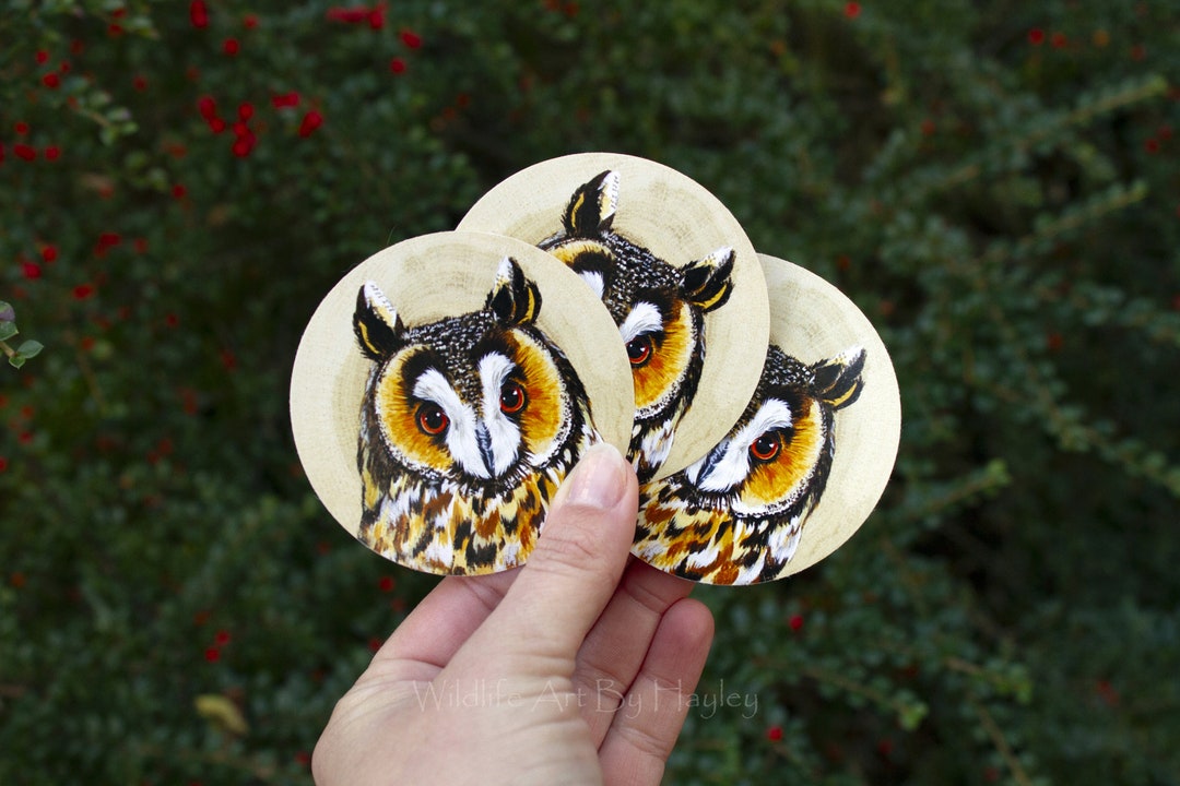 Long Eared Owl Vinyl Sticker, Owl Face Sticker - Etsy