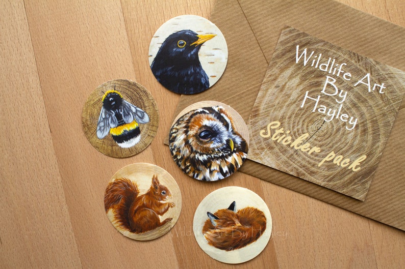 Red Squirrel Sticker Pack X 5 British Wildlife Circular - Etsy