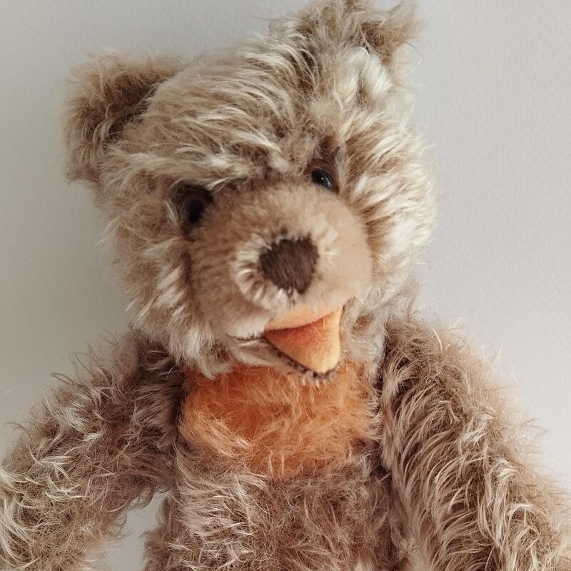 Zotty Bear - Etsy
