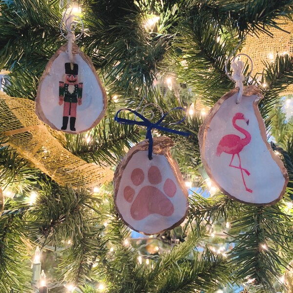 Cats Paw Shell - Etsy