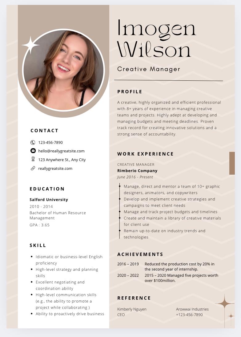 Elite CV Design: Stand Out Resume for Success - Etsy