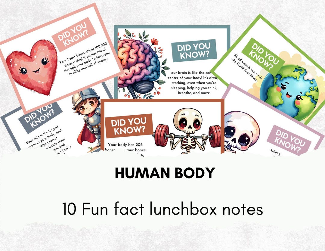 Fun Human Body Facts for Kids, Lunchbox Notes, Educational Facts for ...