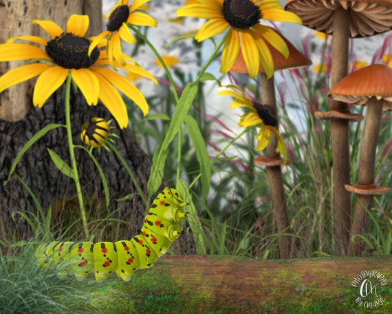 Small World Digital Background - Etsy