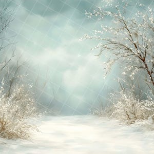Winter Wonderland Digital Backgrounds, Snow Backdrops, Fine Art ...