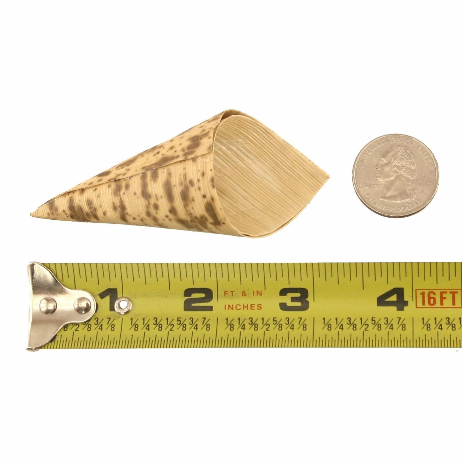 Bamboomn Brand Premium Bamboo Leaf Cone Multiple Sizes & - Etsy