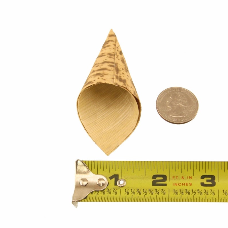 Bamboomn Brand Premium Bamboo Leaf Cone Multiple Sizes & - Etsy