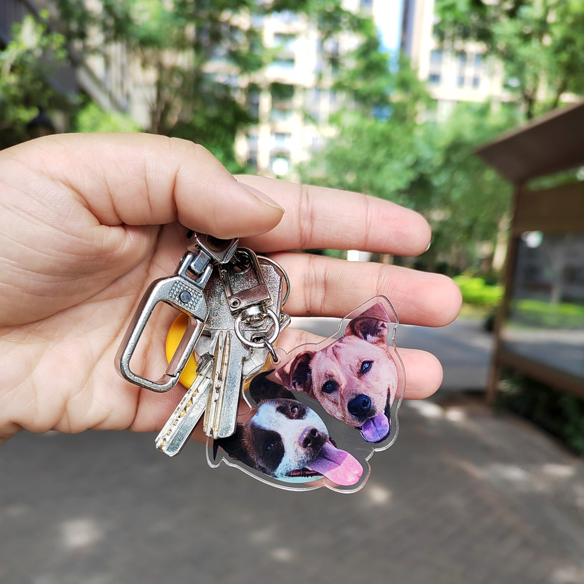 Personalized Pet Photo Acrylic Keychain, Pets Dogs & Cats Portrait, Dog ...