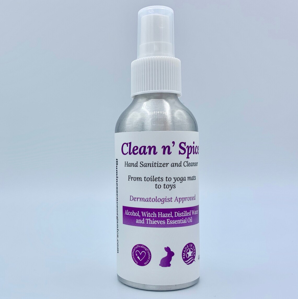 Clean N' Spice Air Freshener & Spritzer - Etsy