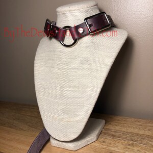 Premium Style Anal Hook, Leather Collar and Rig Made of Cavalier Plum ...