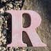 Light Pink Letter R Wall Hanging ~hand Painted~ Initials Butterfly and ...