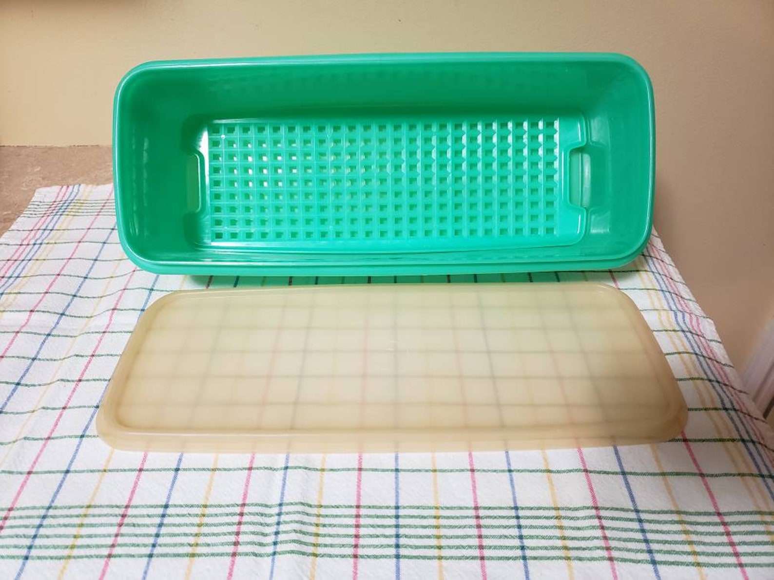 Vintage 1980's Tupperware Easy Crisp Container / Celery | Etsy