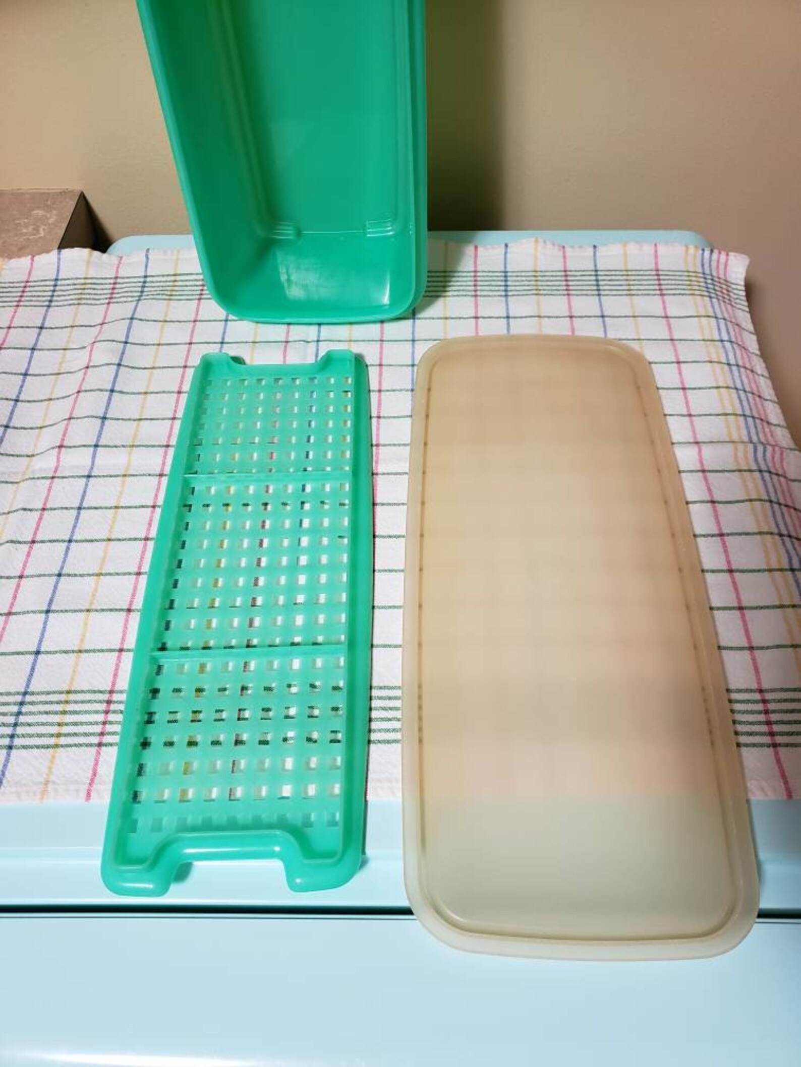 Vintage 1980's Tupperware Easy Crisp Container / Celery | Etsy