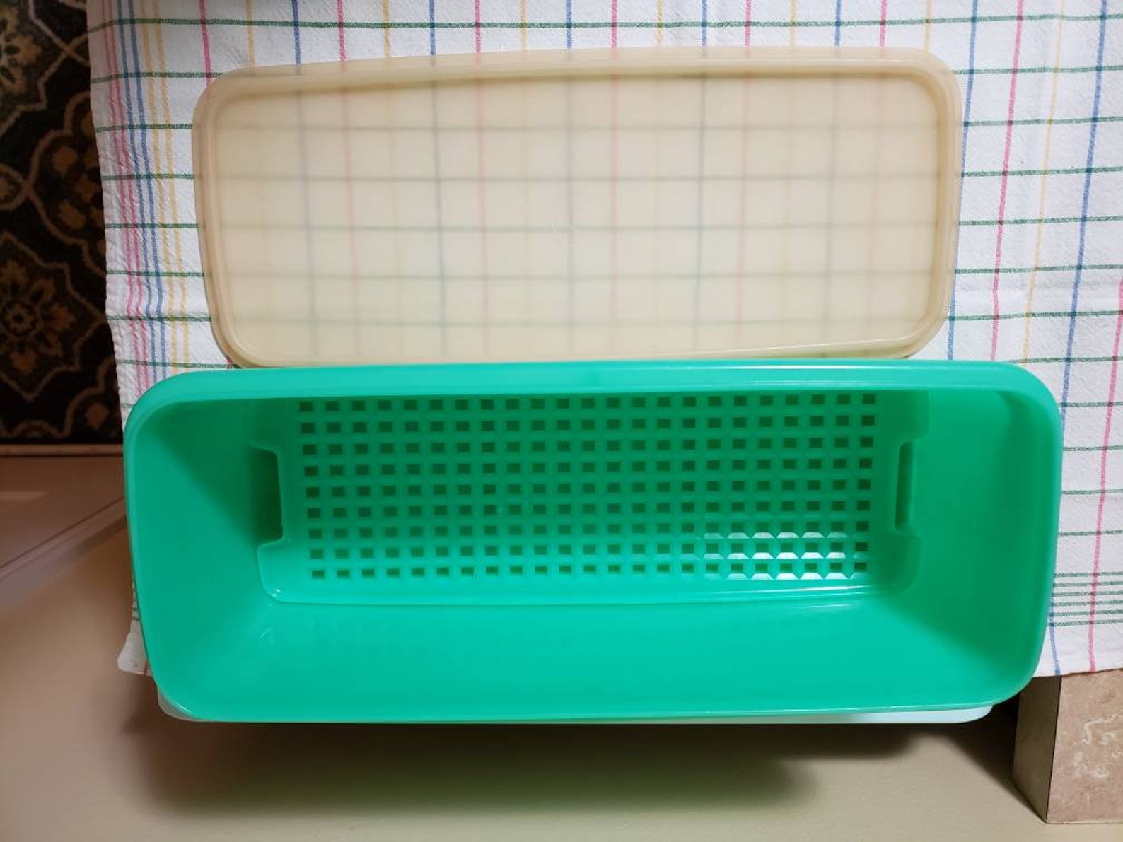 Vintage 1980's Tupperware Easy Crisp Container / Celery | Etsy