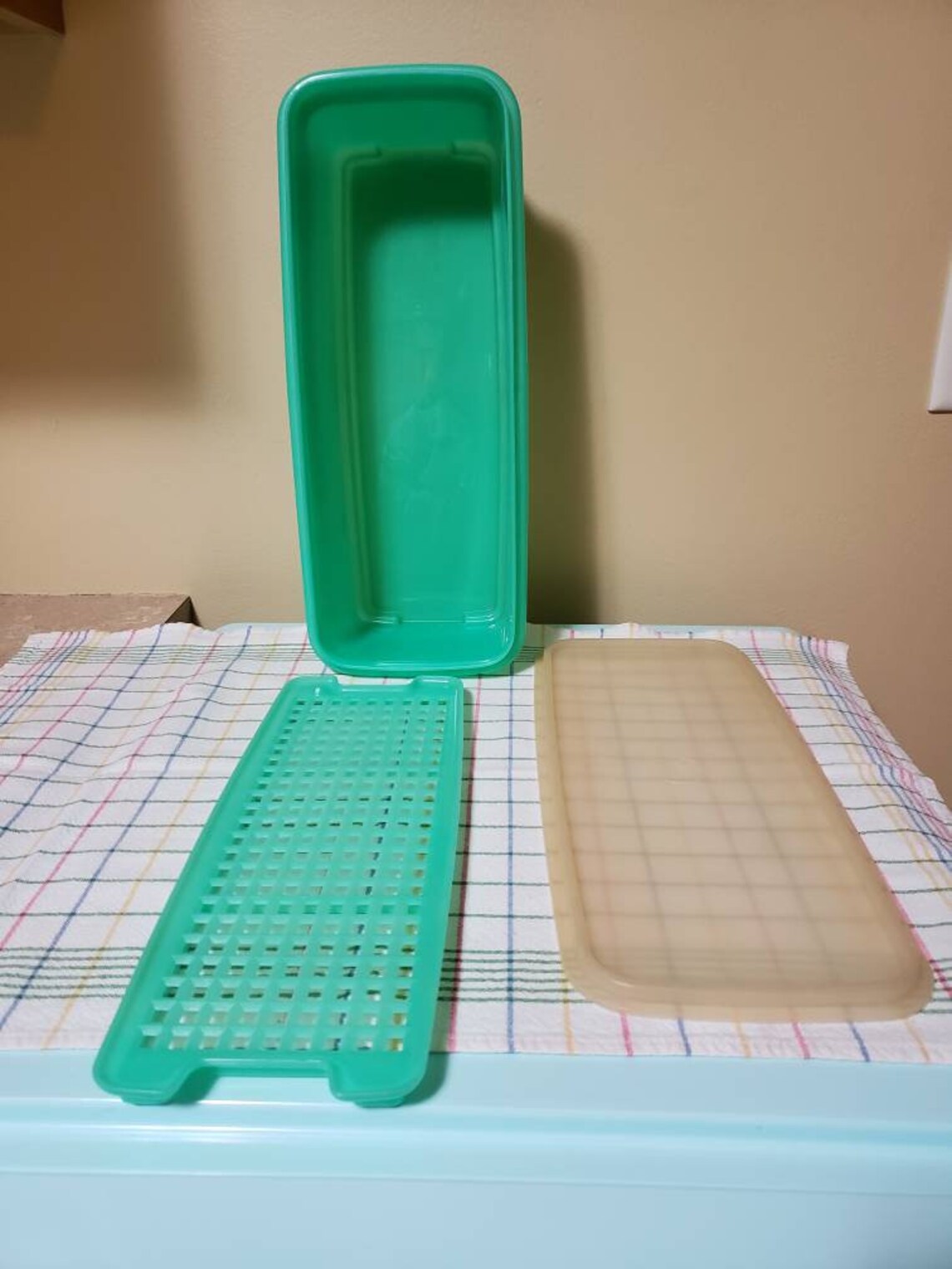 Vintage 1980's Tupperware Easy Crisp Container / Celery | Etsy