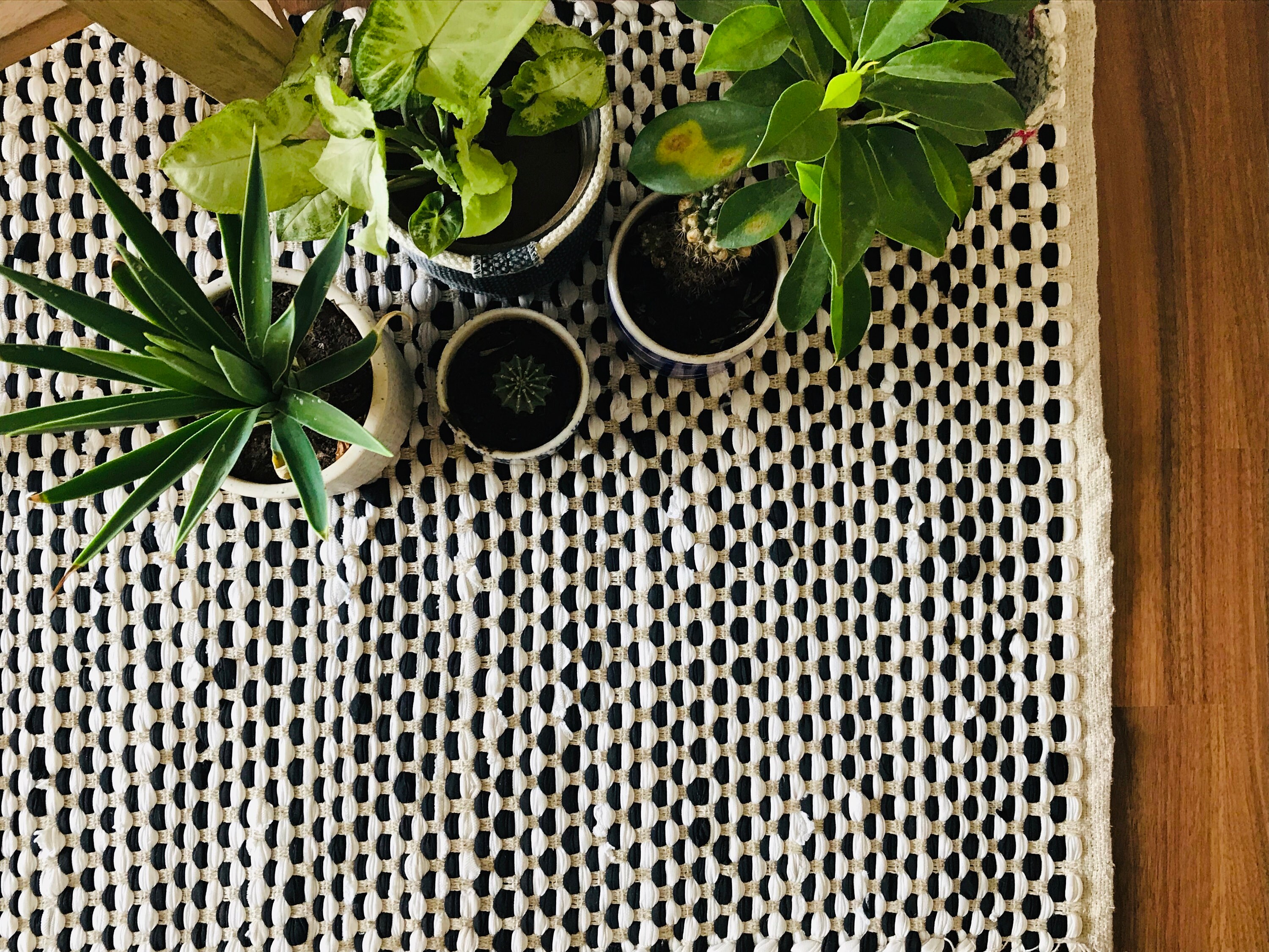 2 X 3 Handmade Rag Rug Black and White Chindi Rug Dhurrie | Etsy