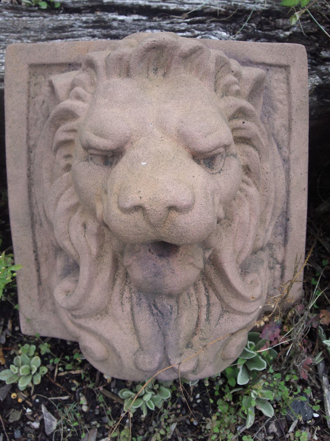 Lion Head Lion Head Square Small Gargoyle Art Sandstone Antique Look E ...