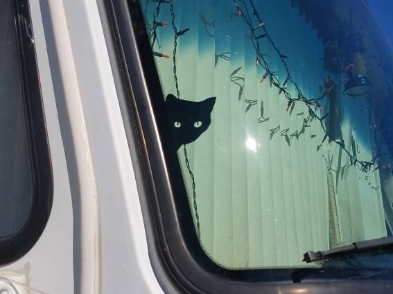Peeking Black Cat Vinyl Window Decal (black -facing Left -shown).fall ...
