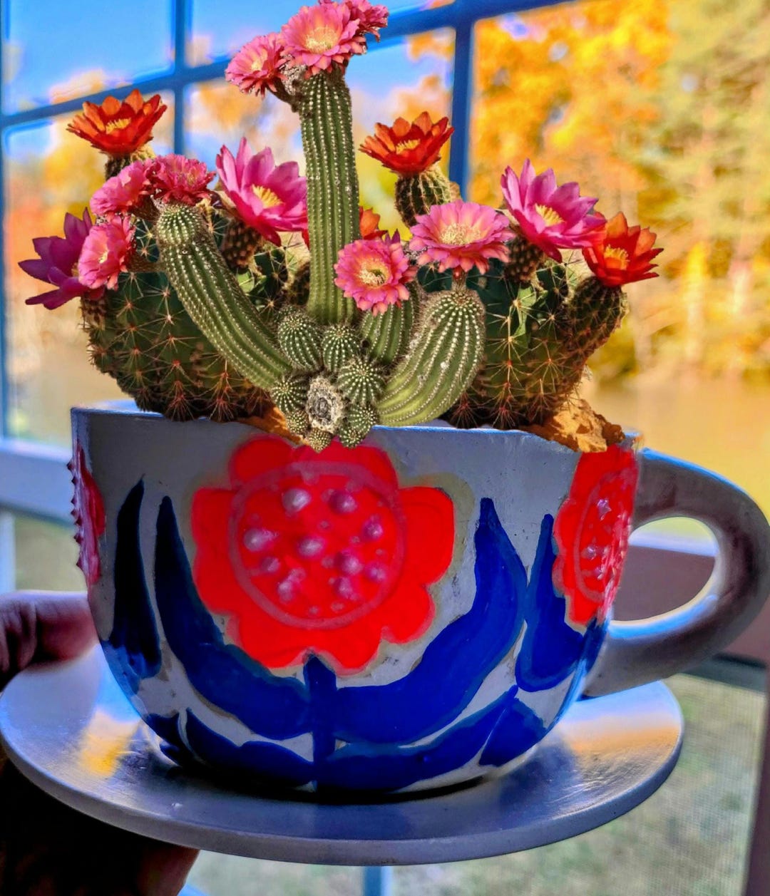 Handpainted Tea Cup Planter With Saucer,succulent Planter,indoor ...