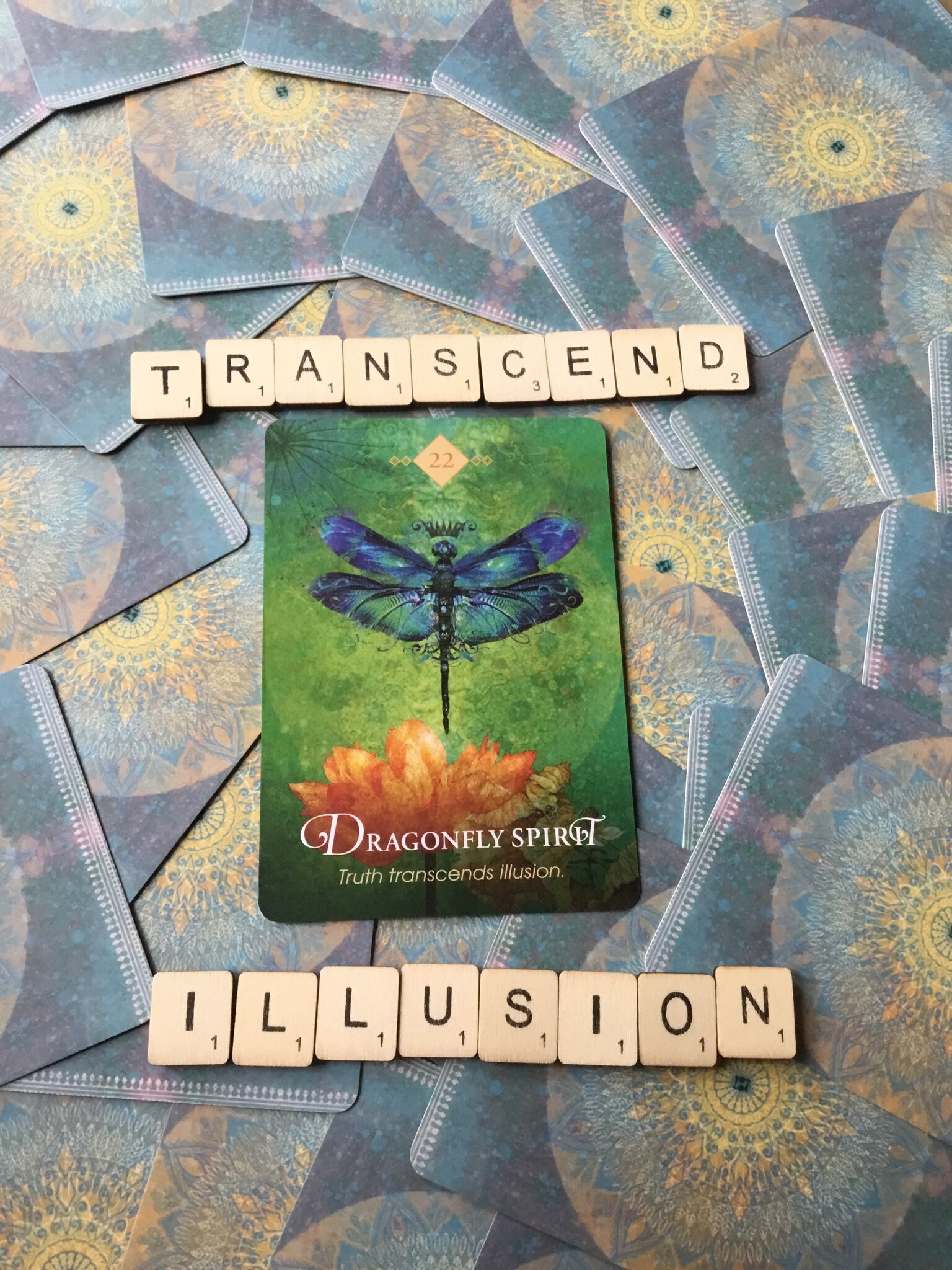 Animal Guardian Oracle Reading - Etsy