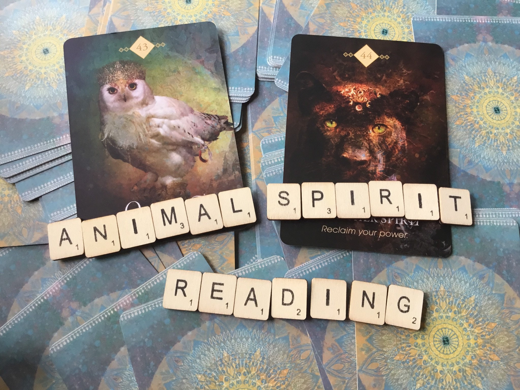 Animal Guardian Oracle Reading - Etsy