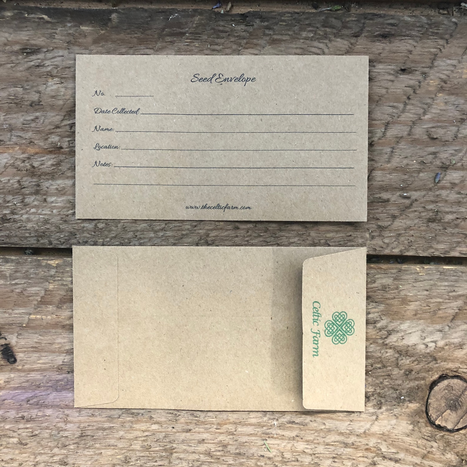 Seed Collecting Envelopes (set of 20) - Etsy