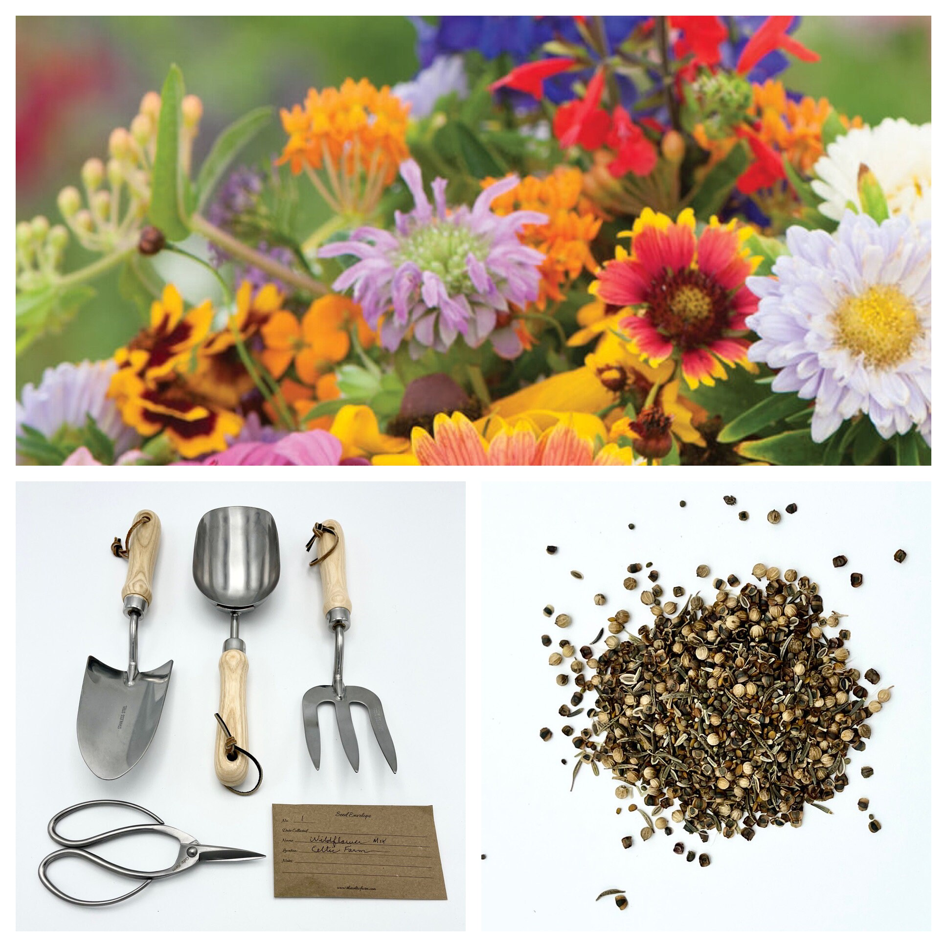 Wild for Wildflowers Our Grow Kit Gift Box With Wildflowers - Etsy