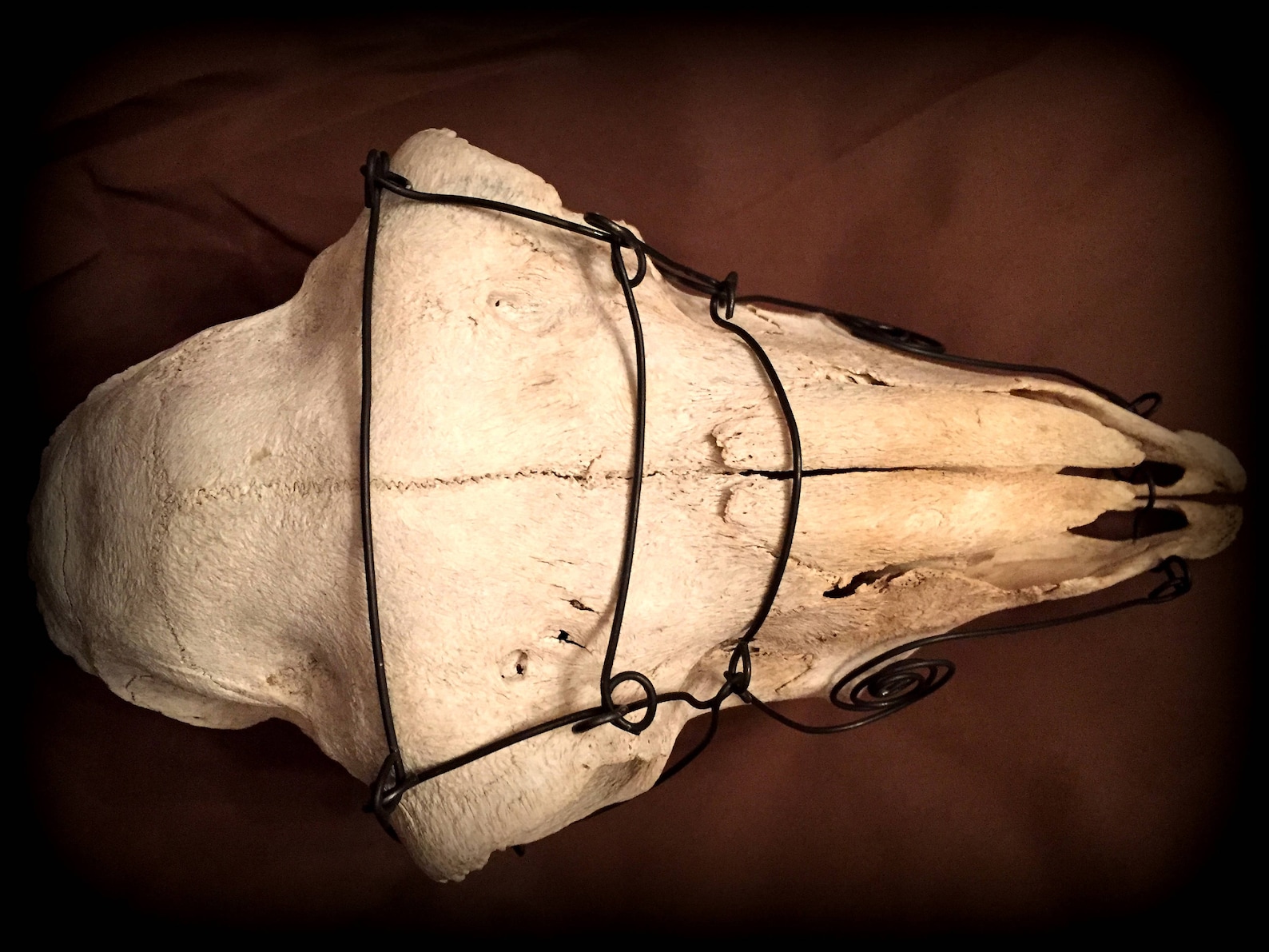 Custom Reliquary Skull Made to Order - Etsy