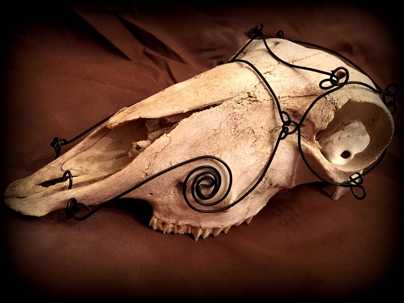 Custom Reliquary Skull Made to Order - Etsy