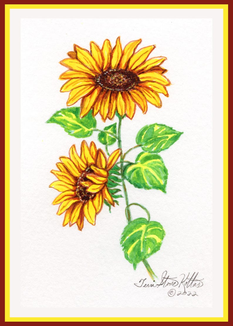 Sunflower Greeting Cards (box of 5ea- Size 5" X 7" 1/2-fold.) - Etsy