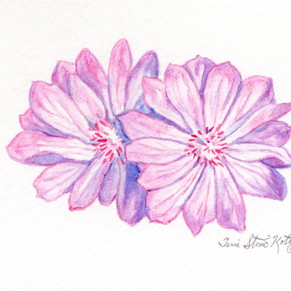 Bitterroot Flower - Etsy