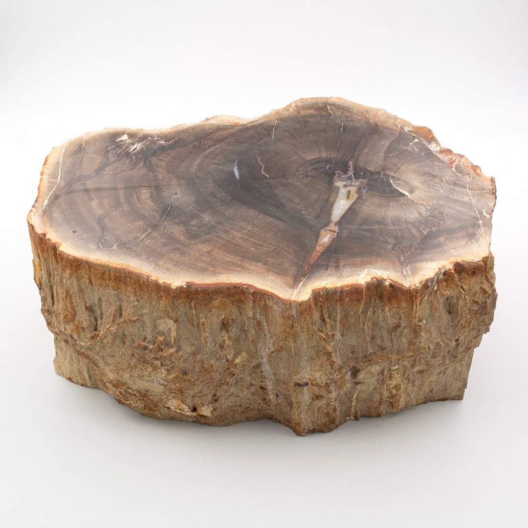 7.1 Kg Permian Petrified Wood Log. Origin: Paraguay. 23 X 15 X 10 Cm ...