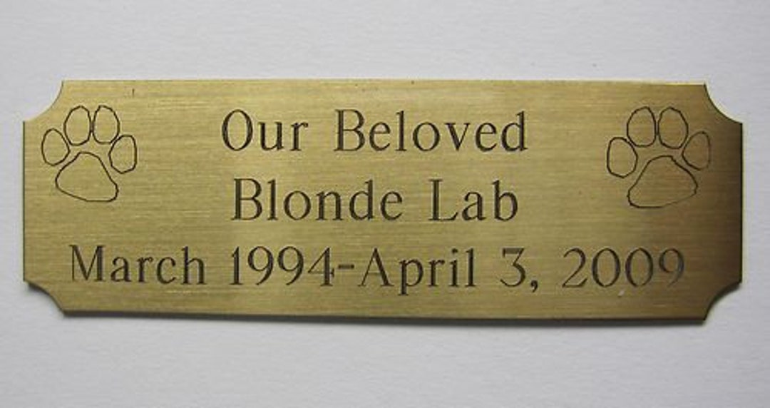 1x3 Gold Brass Plate W/ Black or Gold Print. Custom Personalized Plate ...