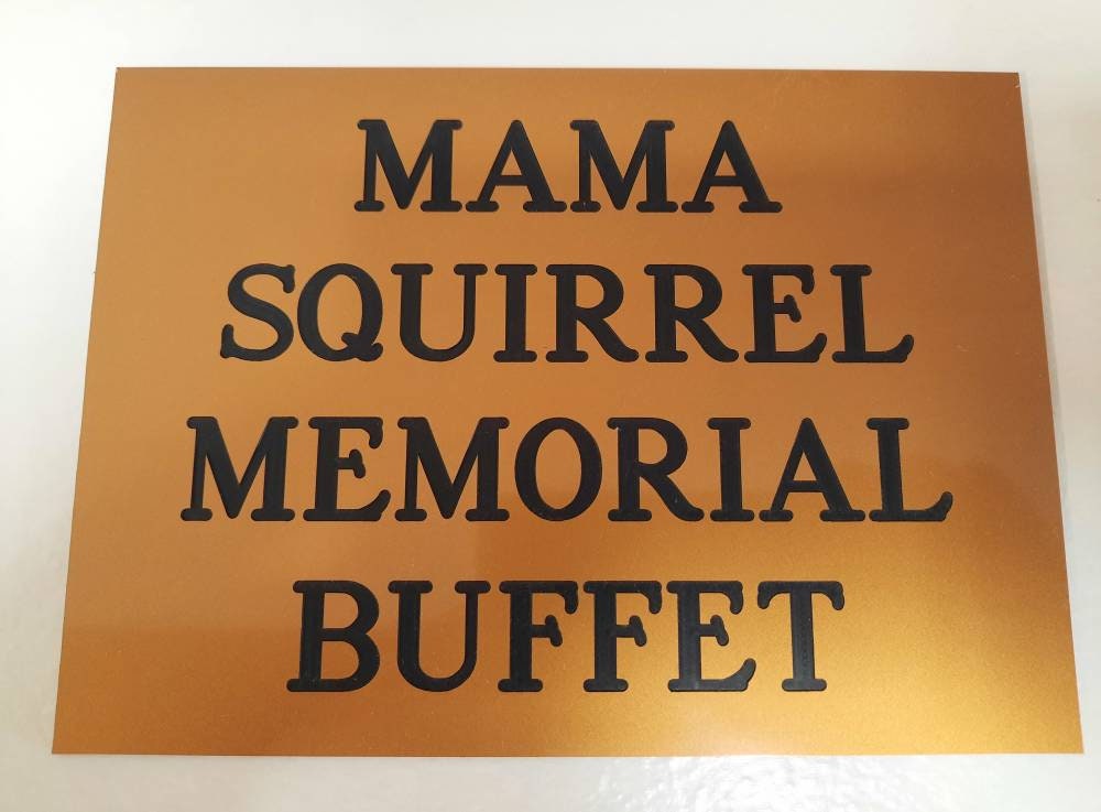 Engraved Plastic Sign 8x10 Custom Made Any Text - Etsy