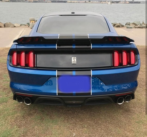 2015-2017 Ford Mustang GT350 Track pack Spoiler Wicker Bill | Etsy
